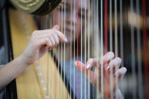 A passion for playing the Harp | Sounds Of The Harp